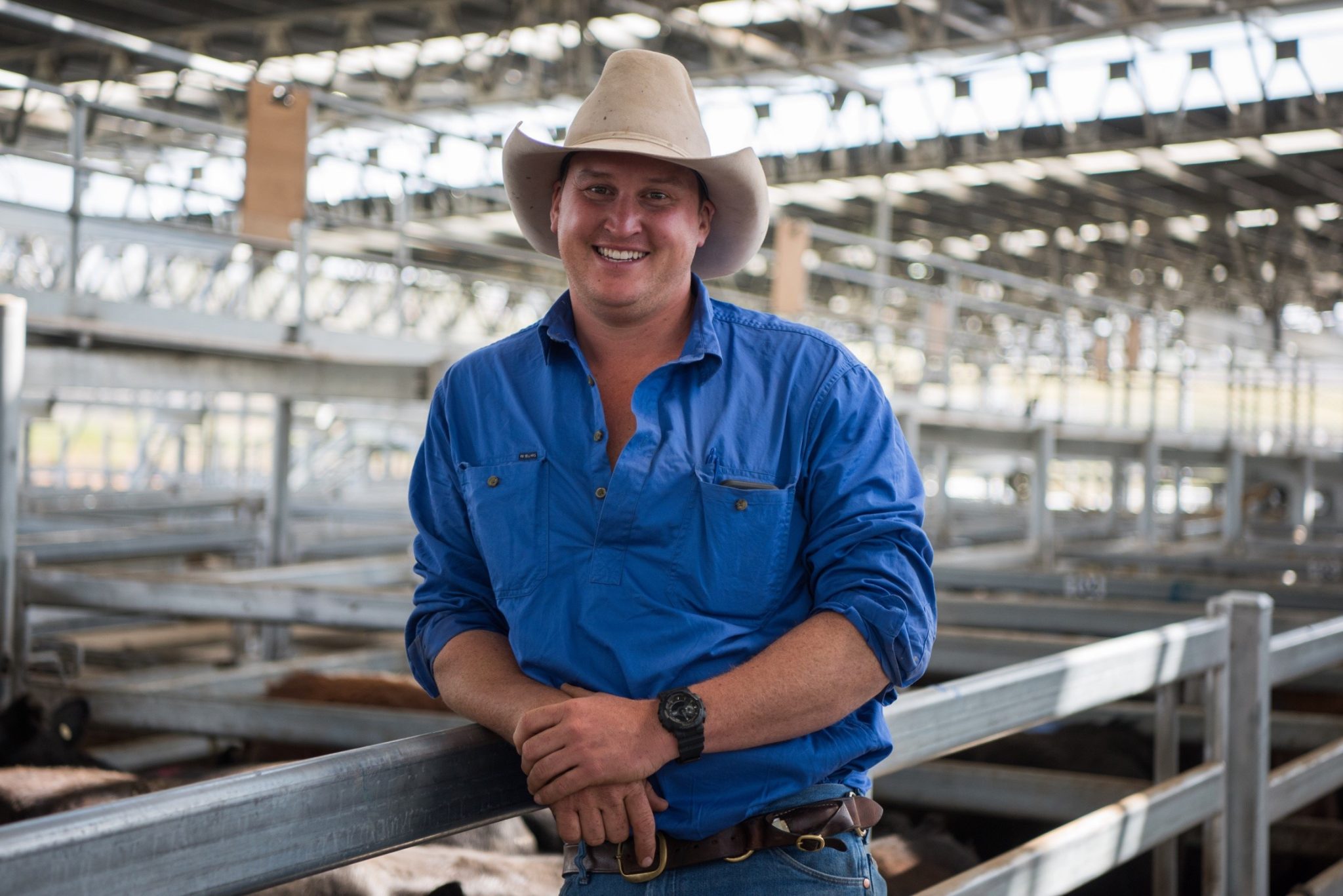 Cattle Australia launch new flagship industry leadership program ...